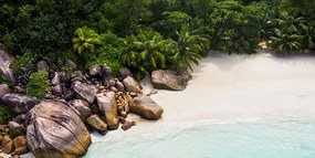 Obraz pobřeží Seychely - 100x50 cm