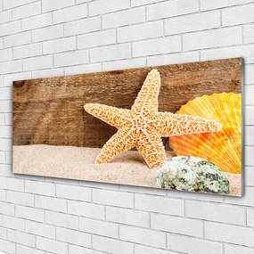 akrylový obraz Písek Hvězdice Umění 125x50 cm