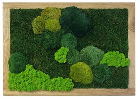 Mechový obraz|kombinace mechů Rozměr obrazu: 110x45 cm, Barva rámu: Ořech světlý (mořená borovice), Síla rámu (pohledová): 2,5 cm