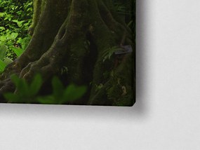 Liox Obraz deštný prales Rozměr: 200 x 80 cm
