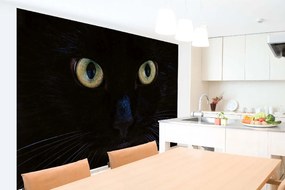 DIMEX | Samolepicí vliesová fototapeta na zeď Pohled černé kočky MA-5-0553 | 375 x 250 cm | zelená, černá