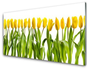 Plexisklo-obraz Tulipány Květiny Příroda 100x50 cm