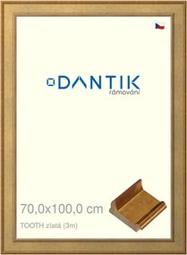 DANTIK rámeček 70x100 | TOOTH zlatá (Plexi Čiré)
