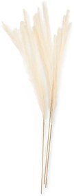 Dekorativní pampová tráva 3ks PAELHI