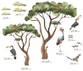 Savanna stromy a ptáci