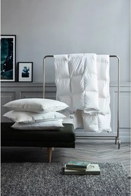 Polštář s péřovou výplní 50x60 cm Snow Queen – Ringsted Dun