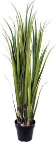 SUGARCANE - umělá tráva, 122 cm