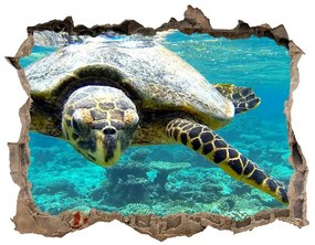 Wallmuralia Díra 3D fototapeta nálepka Mořská želva 95x64 cm