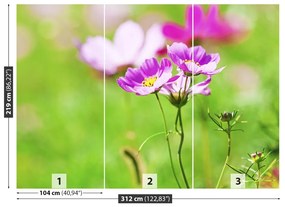 Fototapeta Cosmos Purple 104x70