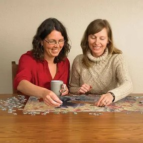 COBBLE HILL Puzzle Snění za zimního spánku / 500 dílků / od 12 let