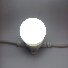 LED žárovka ledově bílá, patice E27, 12 diod