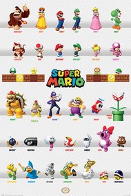 Plakát, Obraz - Super Mario - Character Parade