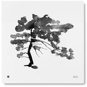 Plakát Pine Tree 50x50