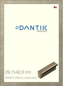 DANTIK rámeček 29,7x42 | GRAFIC stříbrná vysoká (Plexi Čiré)
