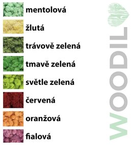 WOODILO Sobí mech v dřevěném květináči | přírodní Barva lišejníku: trávově zelená, Průměr misky: 20 cm
