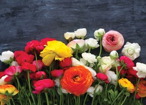 Malvis Tapeta Řezané květiny Vel. (šířka x výška): 144 x 105 cm