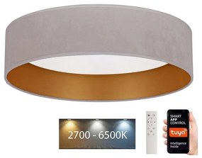 Brilagi | Brilagi - LED Stmívatelné svítidlo VELVET SMART LED/24W/230V Wi-Fi Tuya + DO | BG0429