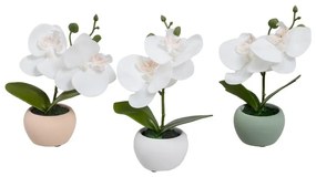 Umělé rostliny v sadě 3 ks (výška 15 cm) Orchid – Casa Selección