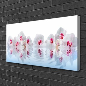 Obraz na plátně Květiny Rostlina Příroda Umění 100x50 cm