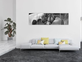 Obraz - Zamilovaní koni, černobílá (170x50 cm)