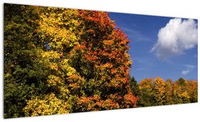 Podzimní stromy - obraz do bytu (100x40cm)
