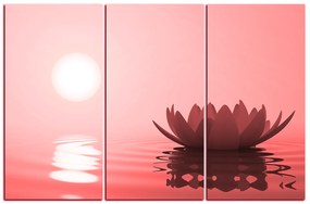 Obraz na plátně - Zen lotus 1167CB (105x70 cm)