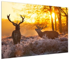 Obraz jelenů (100x70 cm)