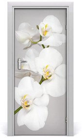 Fototapeta na dveře Bílá orchidej 75x205 cm