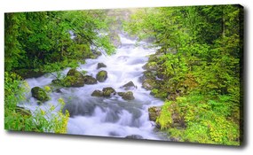 Wallmuralia Foto obraz na plátně Horská řeka 100x50