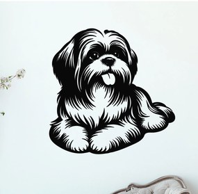 dřevo života Dřevěný obraz ležícího Shih Tzu Zvolte rozměr (cm): 60x60, Zvolte barvu dekoru: Černá