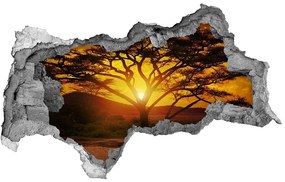 Wallmuralia Díra 3D ve zdi nálepka Západ slunce Afrika 95x73 cm