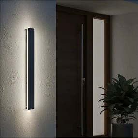 LED Venkovní nástěnné svítidlo MIRANA LED/12W/230V 4000K IP44 60 cm černá