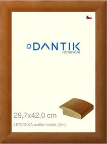DANTIK rámeček 29,7x42 | LEDVINKA světle hnědá (Plexi Čiré)