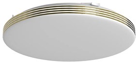 Stropní LED svítidlo Bever, 1x LED 16w, 4000k, g