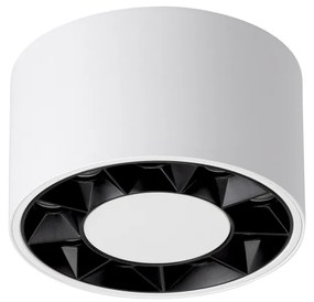 Stropní LED svítidlo Dio, 1x LED 10w, 4000k, w