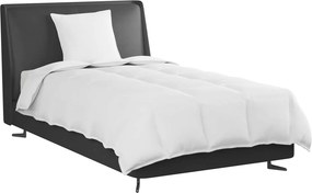 2-in-1 Duvet s polštářem 2 ks Bílá Peří 3376329