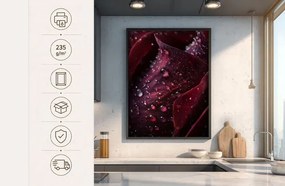Kapky vášně - obraz - Detail růže s kapkami vody 61 - A2 – 420 × 594 mm - 459 Kč