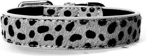 MILK&PEPPER Obojek pro pro psy Lynx Grise Velikost: 40x2 cm