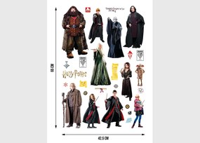Dětská samolepka na zeď Harry Potter | 42.5 x 65 cm | DDK1643