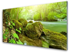 akrylový obraz Jezero Kameny Příroda 100x50 cm