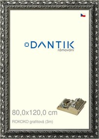 DANTIK rámeček 80x120 | ROKOKO grafitová (Plexi Čiré)