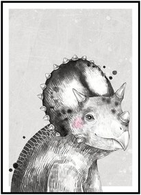 Plakát Malý Triceratops Rozměr plakátu: 40 x 50 cm, Varianta Triceratopse: Triceratops