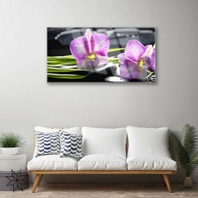 Plexisklo-obraz Orchidej Kameny Zen Lázně 100x50 cm