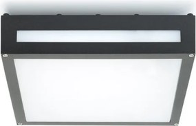 RED R10359 Venkovní svítidlo PLAKA stropní černá 230V E27 2x26W IP54 - RED - DESIGN RENDL