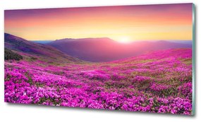 Wallmuralia Fotoobraz na skle Růžové kopce 100x50