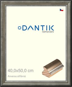DANTIK rámeček 40x50 | ANIVERSA stříbrná (Plexi Čiré)