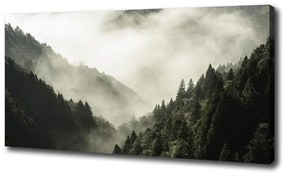 Wallmuralia Foto obraz na plátně Mlha nad lesem 100x50