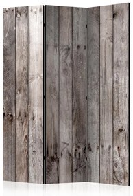 Paraván - Stoleté dřevo 135x172