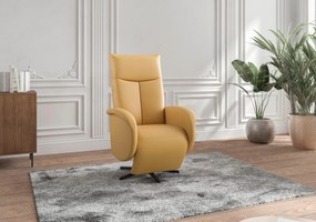 XXXLutz RELAXAČNÍ KŘESLO, kůže, curry žlutá Sit & More - Online Only křesla & taburety - 00014401627H