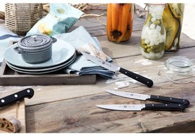 Zwilling TWIN set steakových nožů 4 ks, 39029-002